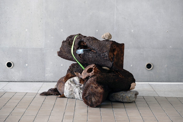 武内 優記 Yuki Takeuchi - works